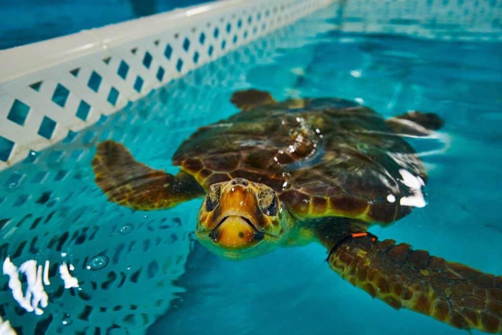 Bass Pro Stories and Updates | Bass Pro Shops