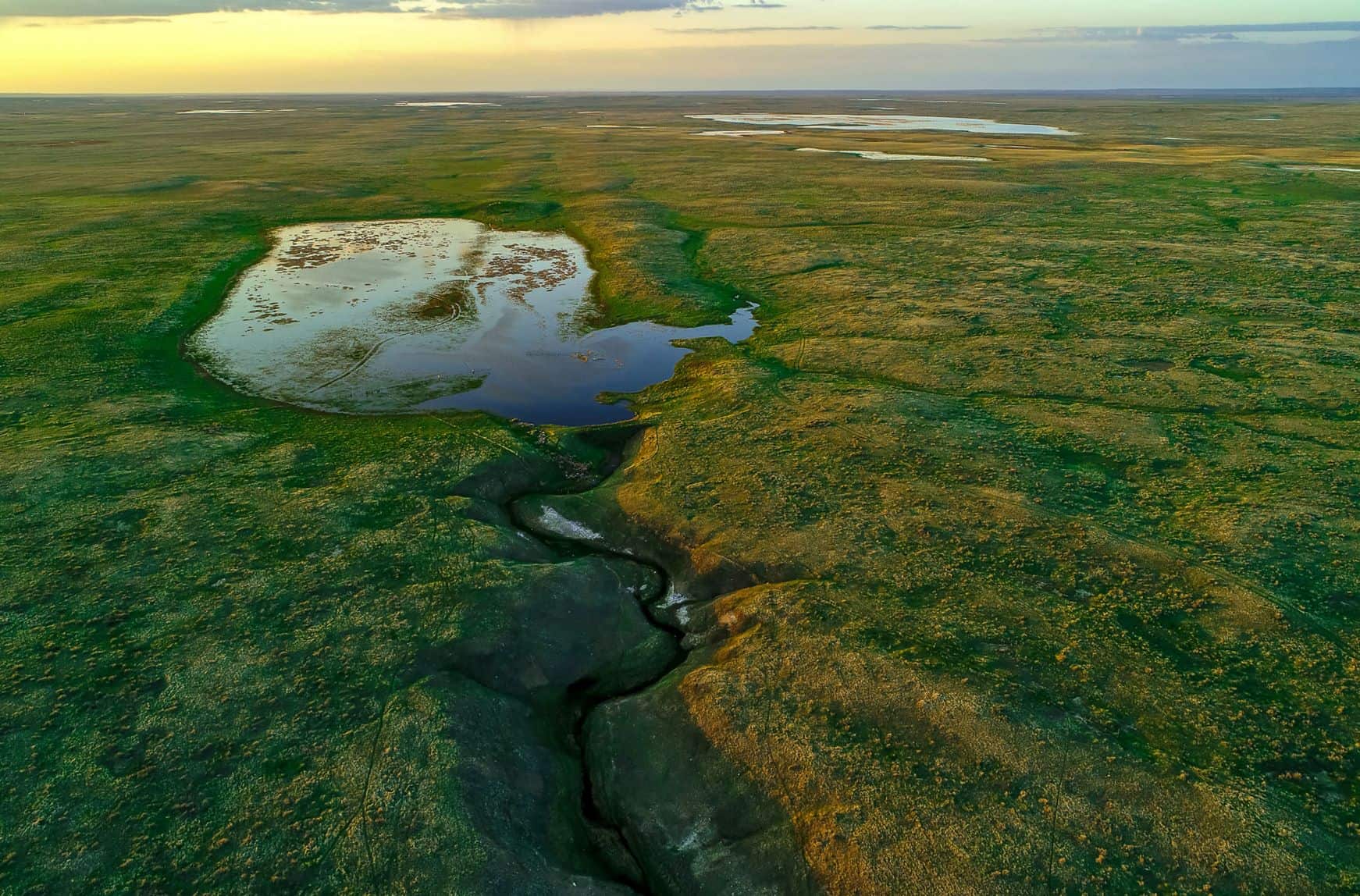 Salute to the Sportsman: What You Can Do to Empower Conservation - Bass Pro