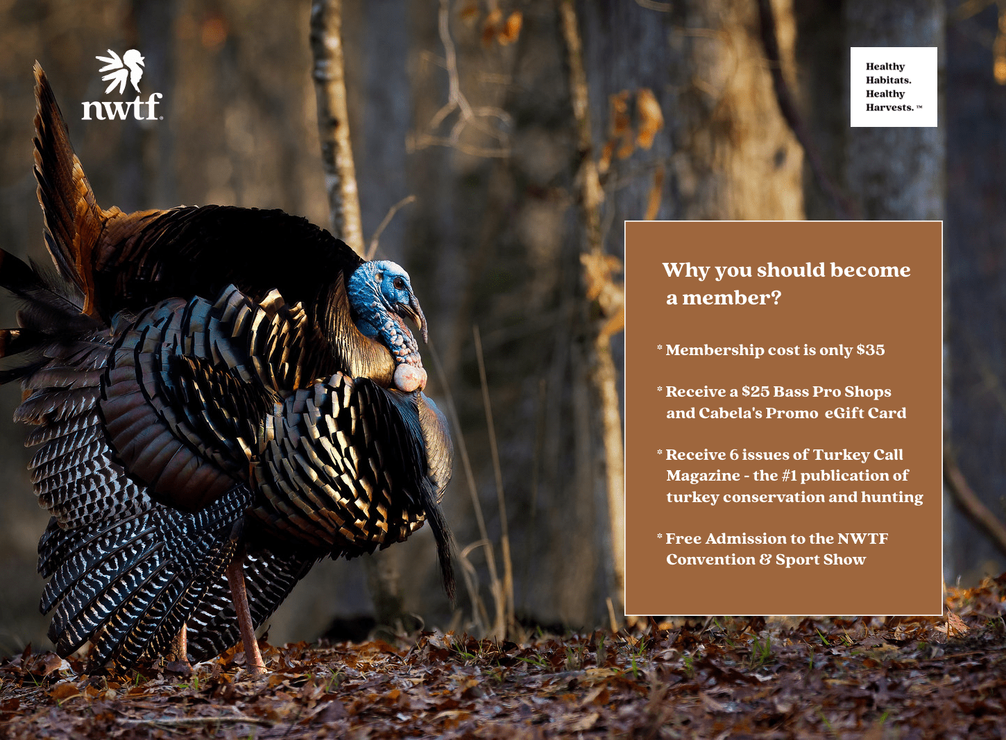NWTF, Bass Pro Shops and One of the Greatest Success Stories in ...