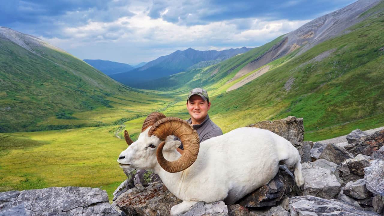 Conservation in Real Time: The Wild Sheep Foundation - Bass Pro