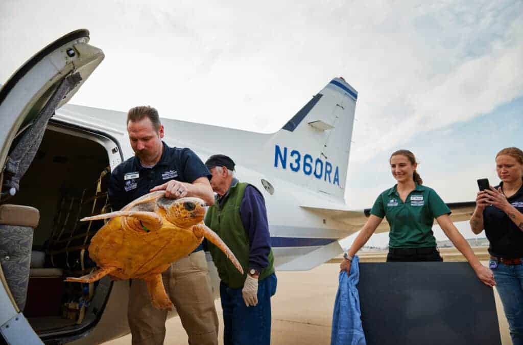 Bass Pro Stories and Updates | Bass Pro Shops