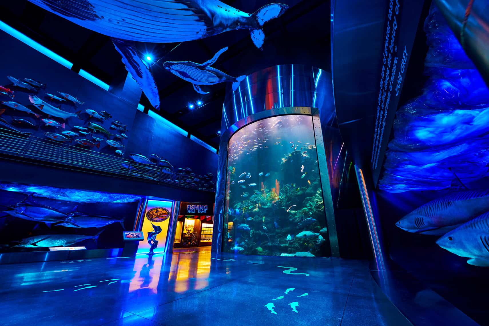 Johnny Morris’ Wonders of Wildlife voted “America’s Best Aquarium” for ...