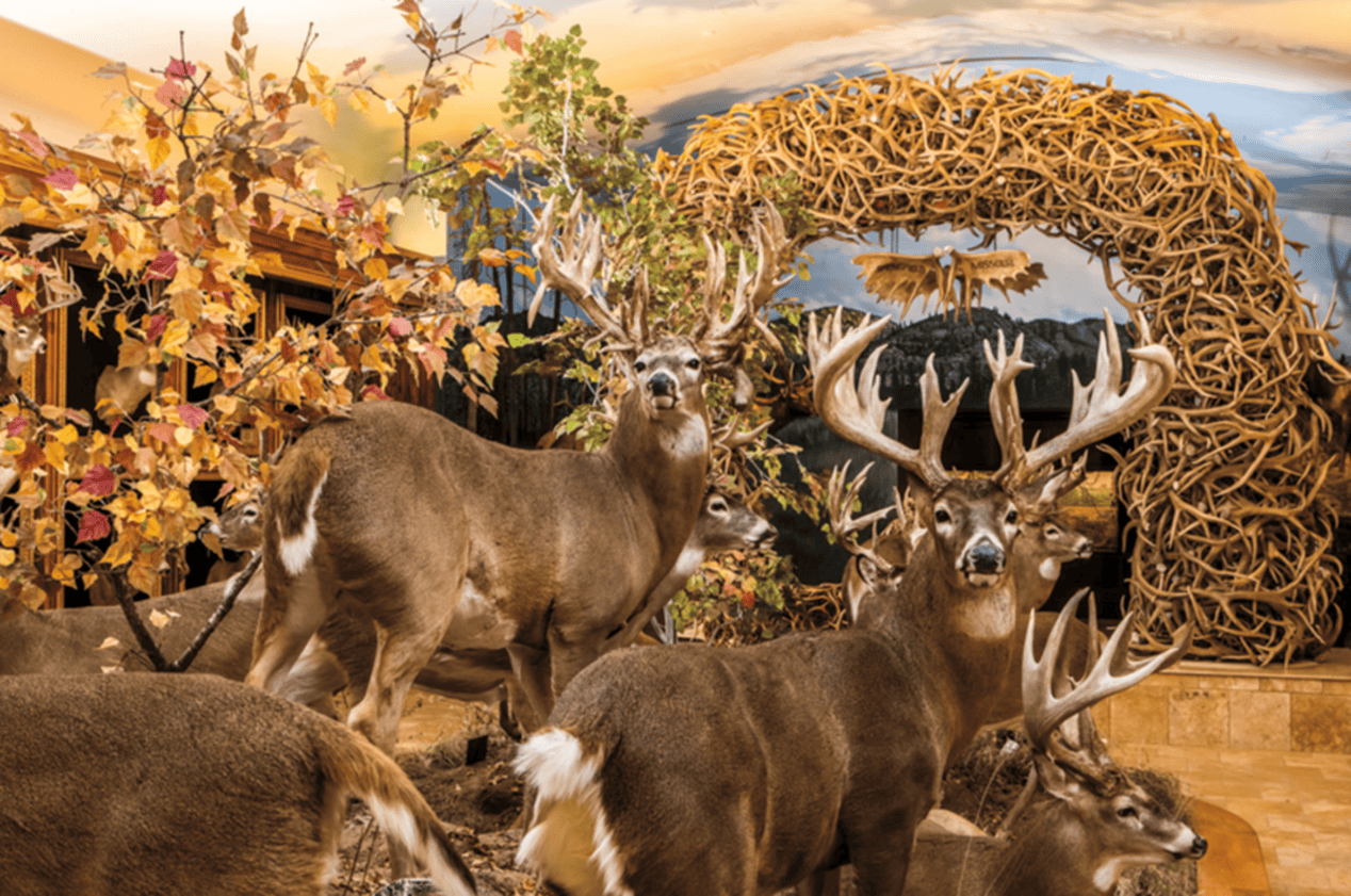 Cast your vote for conservation - Bass Pro