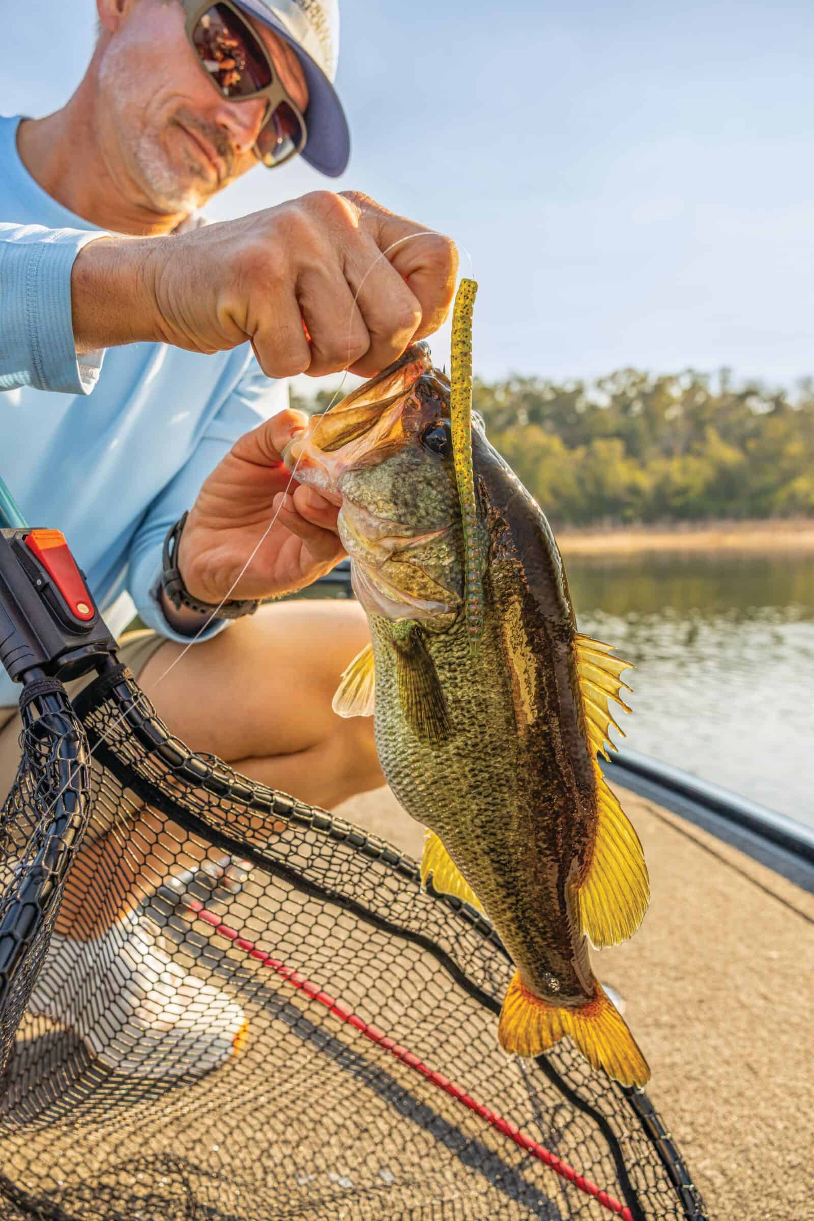 Johnny Morris’ BioBait combines environmentally friendly features with ...